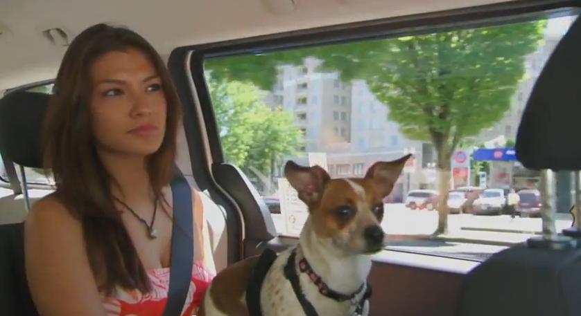 #TMITuesday: 10 Questions with MTV’s The Real World: Portland & The ...